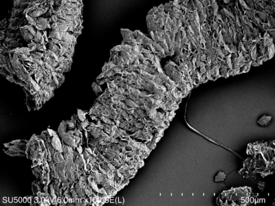 SEM · EDS 주사전자현미경 분석ㅣ물질특성분석센터