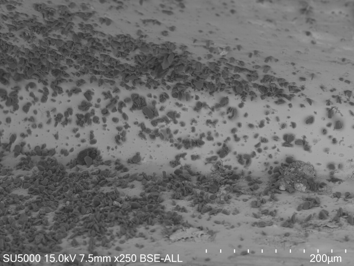 FE-SEM, SE 분석과 BSE 분석 예시 및 차이점