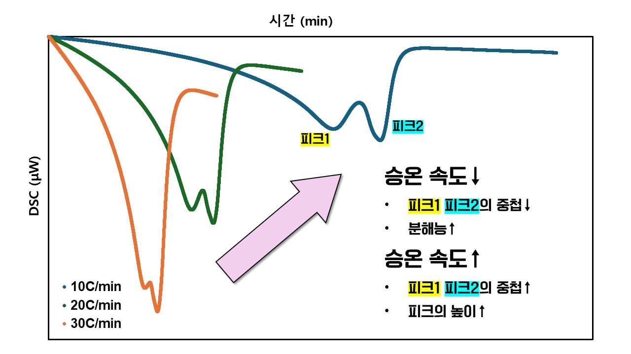 DSC 분석: 승온 속도의 중요성