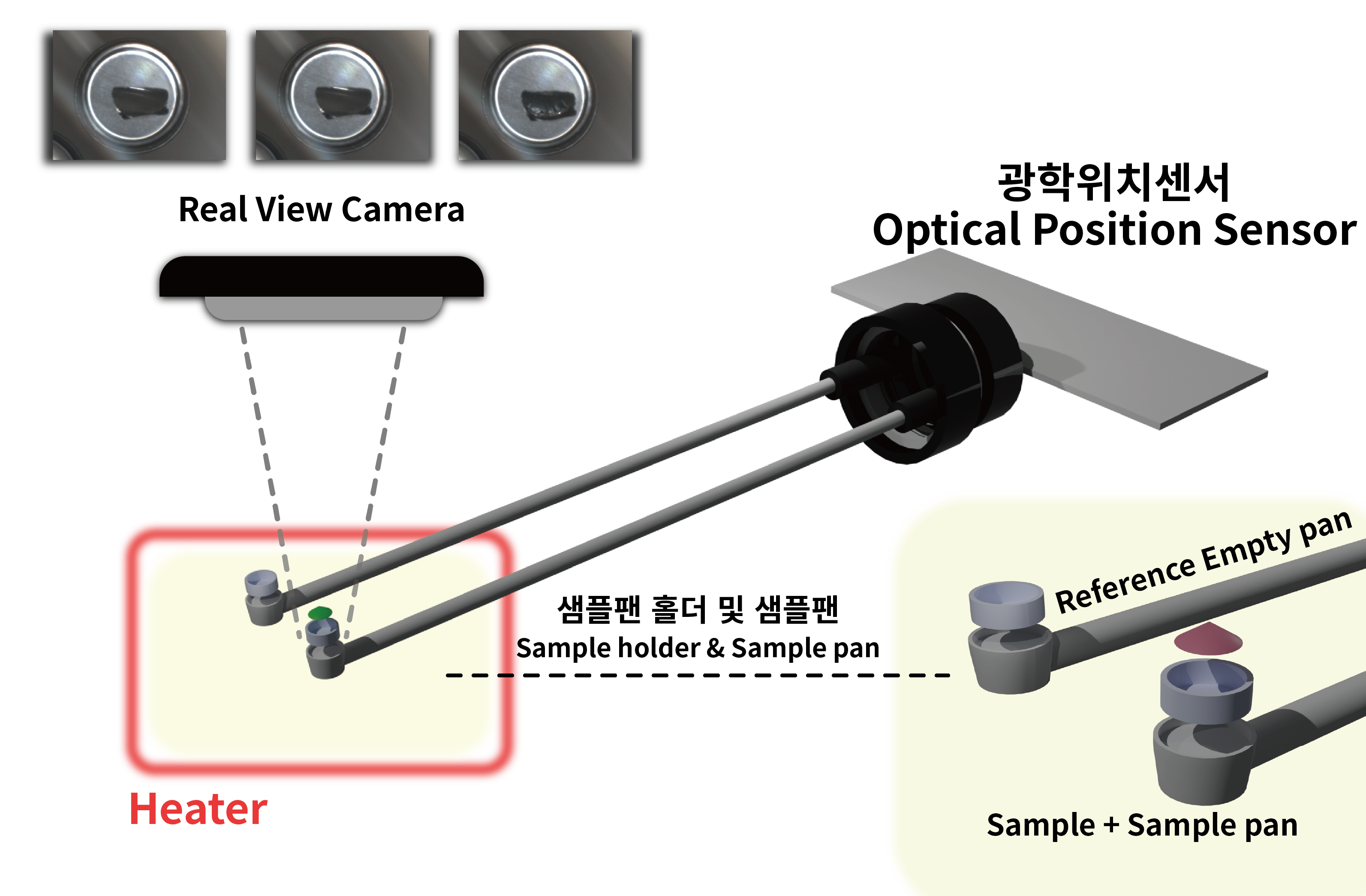 DSC 분석 원리와 조건 설정 방법
